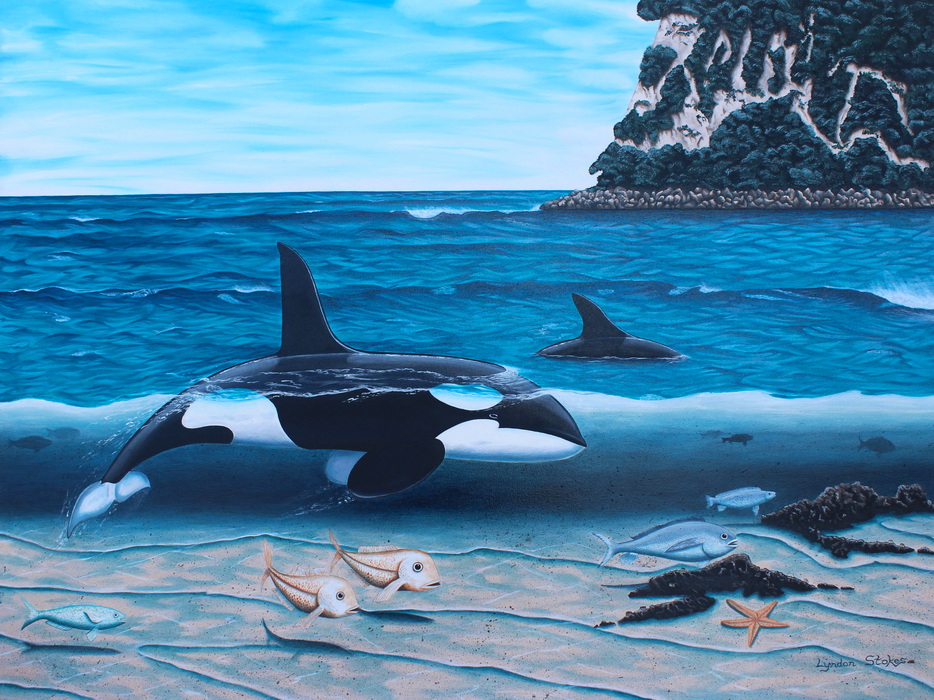 Orca Visit Whangamata | Artwork by Lyndon Stokes